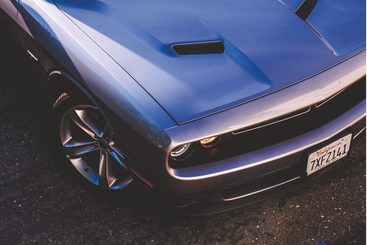 Tjek nummerplade | Info og guide til nummerplade tjek